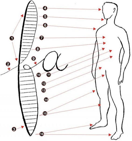 - La Personalidad en la Grafología -: Grafologia como ciencia