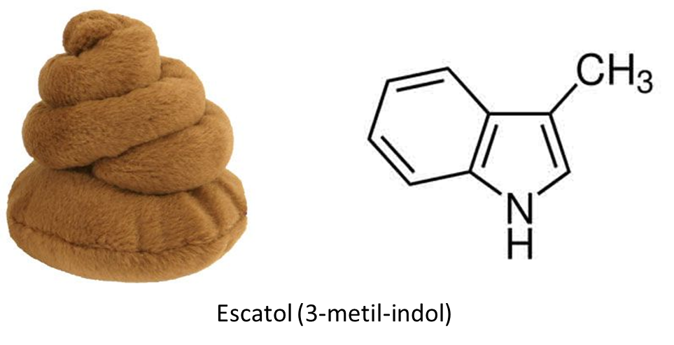Escatol; Metilindol